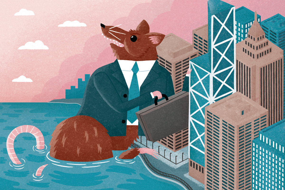Stock Connect sparks worries over rat trading | | AsianInvestor