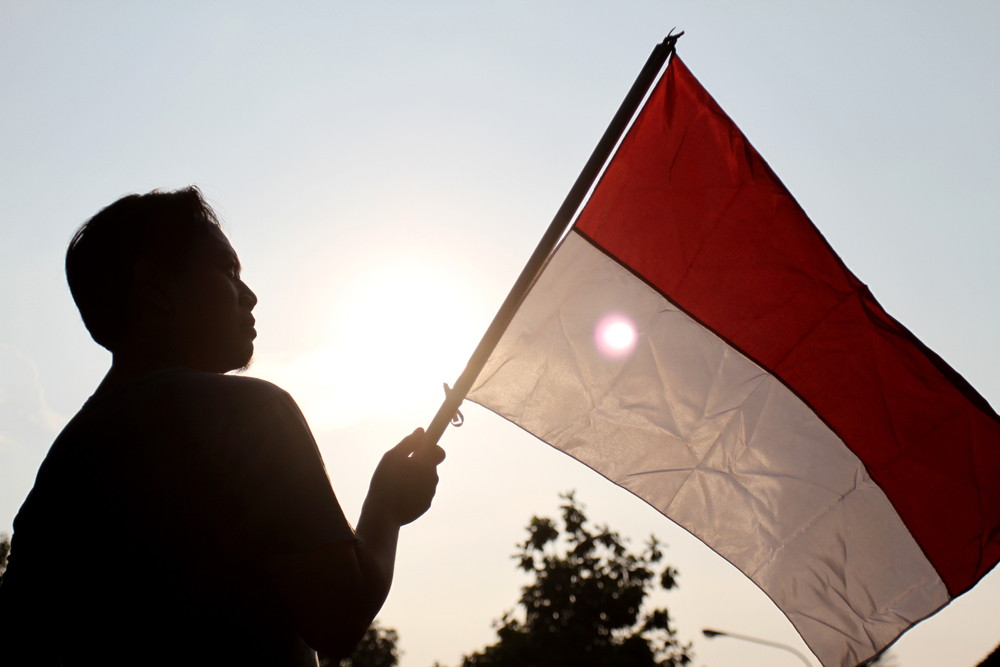 Indonesia’s SWF plans spark governance questions | Pension Funds ...